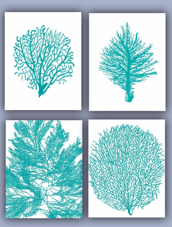 Sea Fan Collection Prints Set of 4 11x14 Seafan Coral Home - Etsy