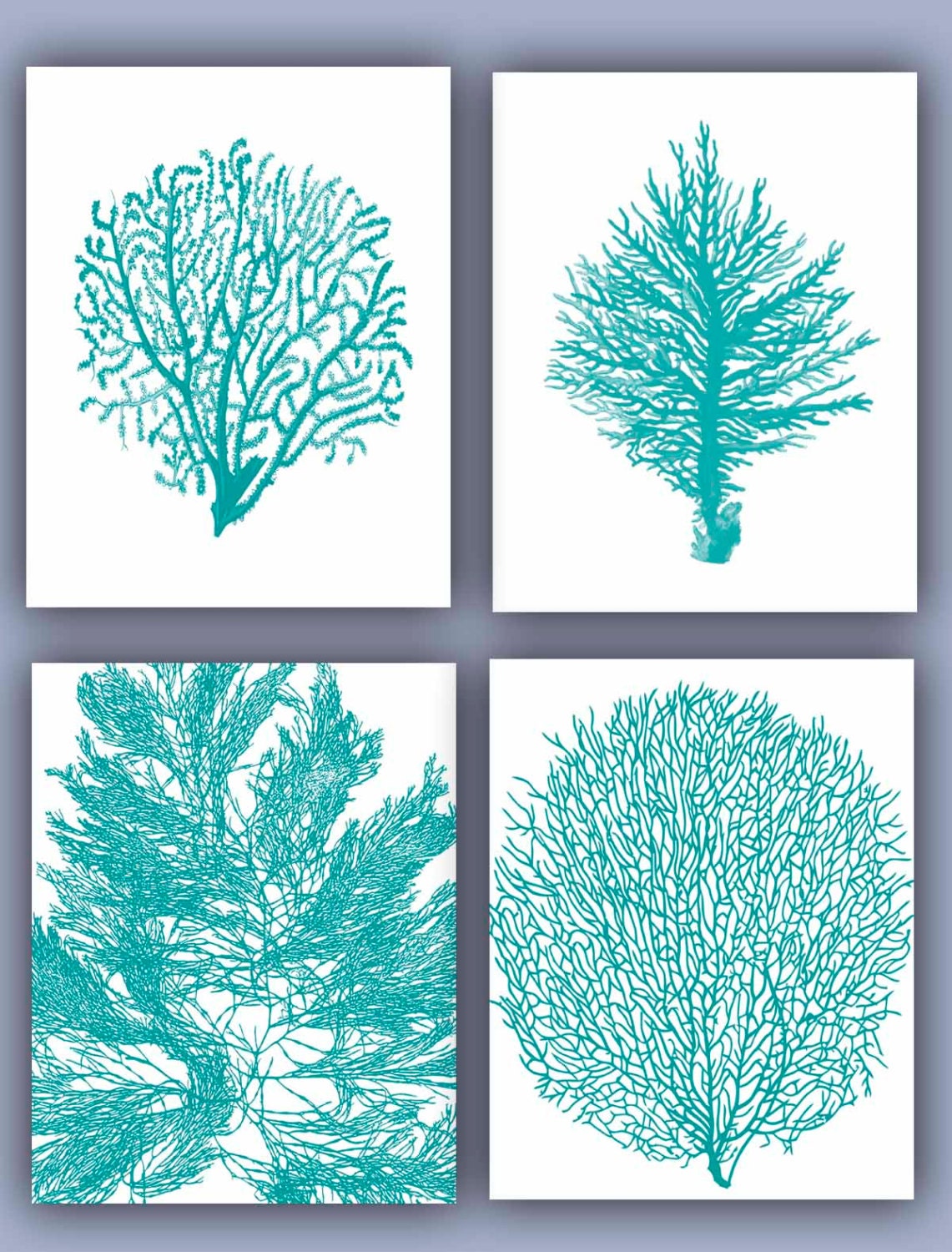 Sea Fan Collection Prints, Set of 4, 11x14, Seafan Coral, Home Decor ...