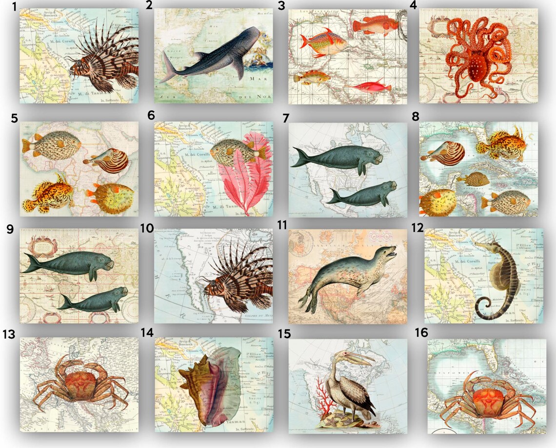 Nautical Map Art Print, Educational Display, Nursery Art, Natural ...