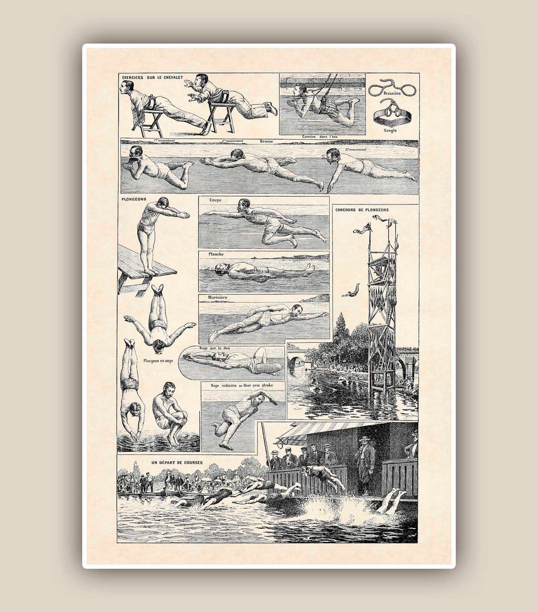 Swimming Art, Gift for Swimmers,retro Swimming Print, Swimming Pool ...