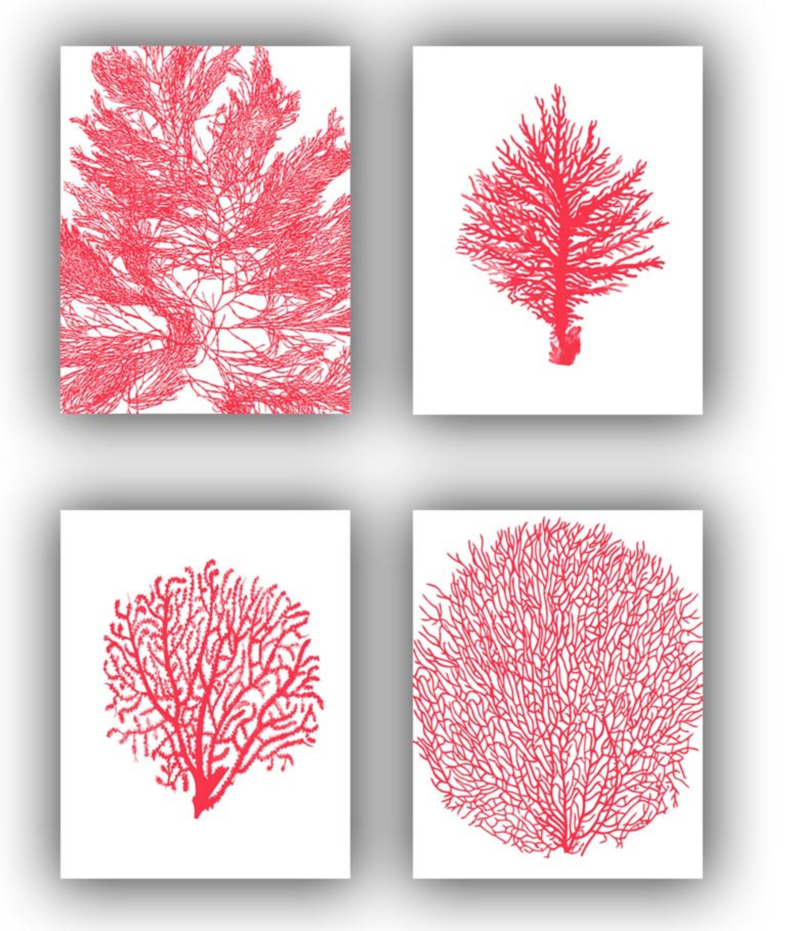 Sea Fan Collection Prints, Set of 4, 11x14, Seafan Coral, Home Decor ...