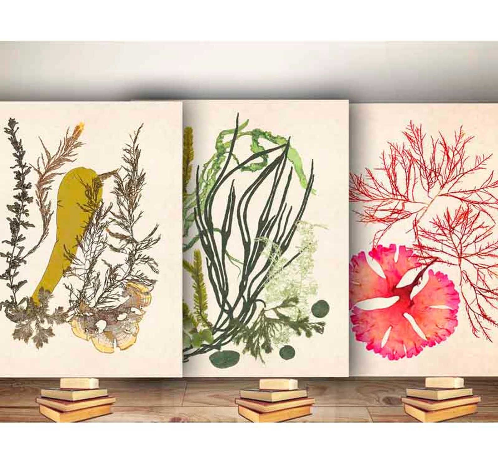 Seaweed Artwork Print, Pressed Seaweed Art, Ocean Art, Nautical Art ...