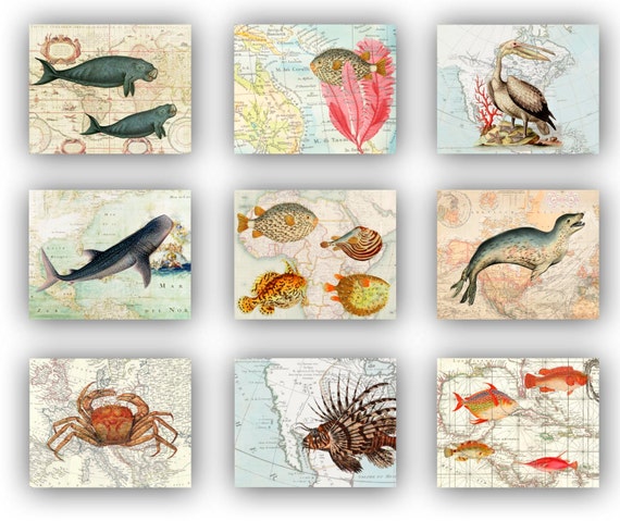 Nautical Map Art Print Educational Display Nursery Art | Etsy