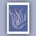Cyanotype Impressions, Ocean Pressed Seaweed Print, Blue Sea Grass Set ...
