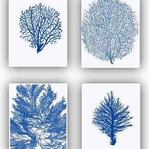 Sea Fan Collection Prints, Set of 4, 11x14, Seafan Coral, Home Decor ...