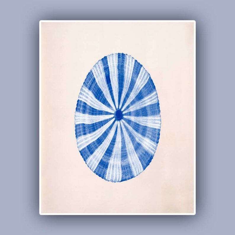 Limpet sea snail Print Vintage sea shell print in blue | Etsy
