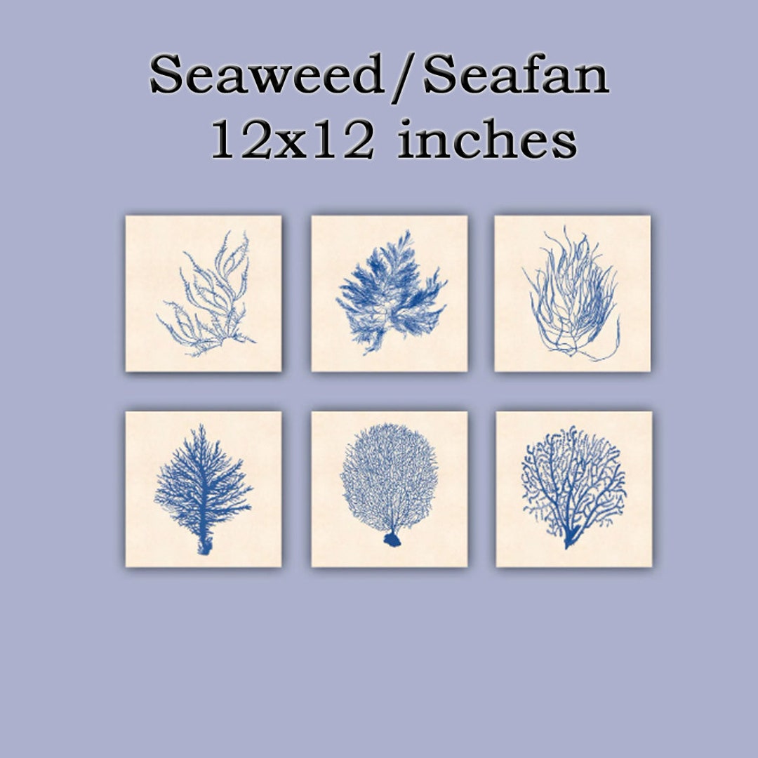 Sea Fan Art Prints, Ocean Seafan Print, Sealife Nautical Art, Blue Sea ...