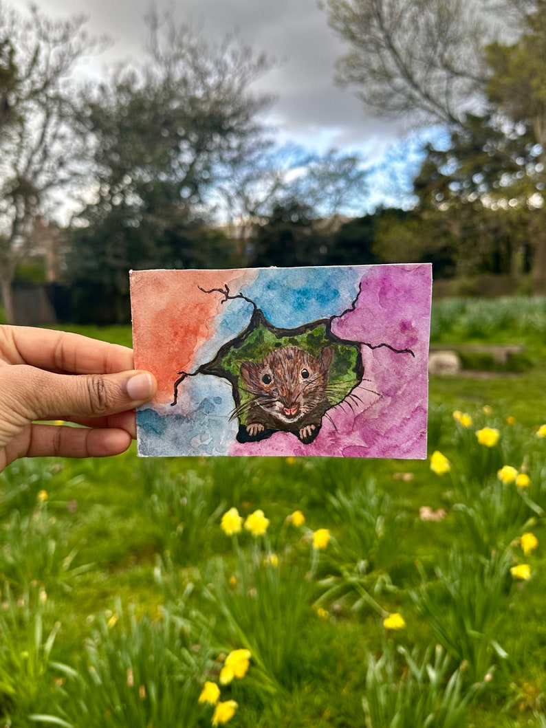 Colourful Watercolour Postcards and Notecards - Vibrant and Detailed ...