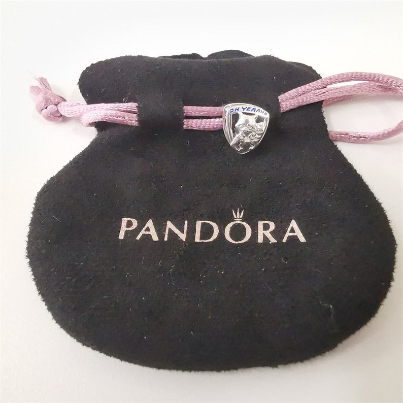 Pandora Guardians of the Galaxy Rocket Raccoon Groot Emblem Charm - Etsy