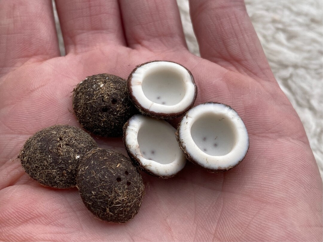 Miniature Polymer Clay Coconuts - Dollhouse Miniature Coconut Halves - Etsy
