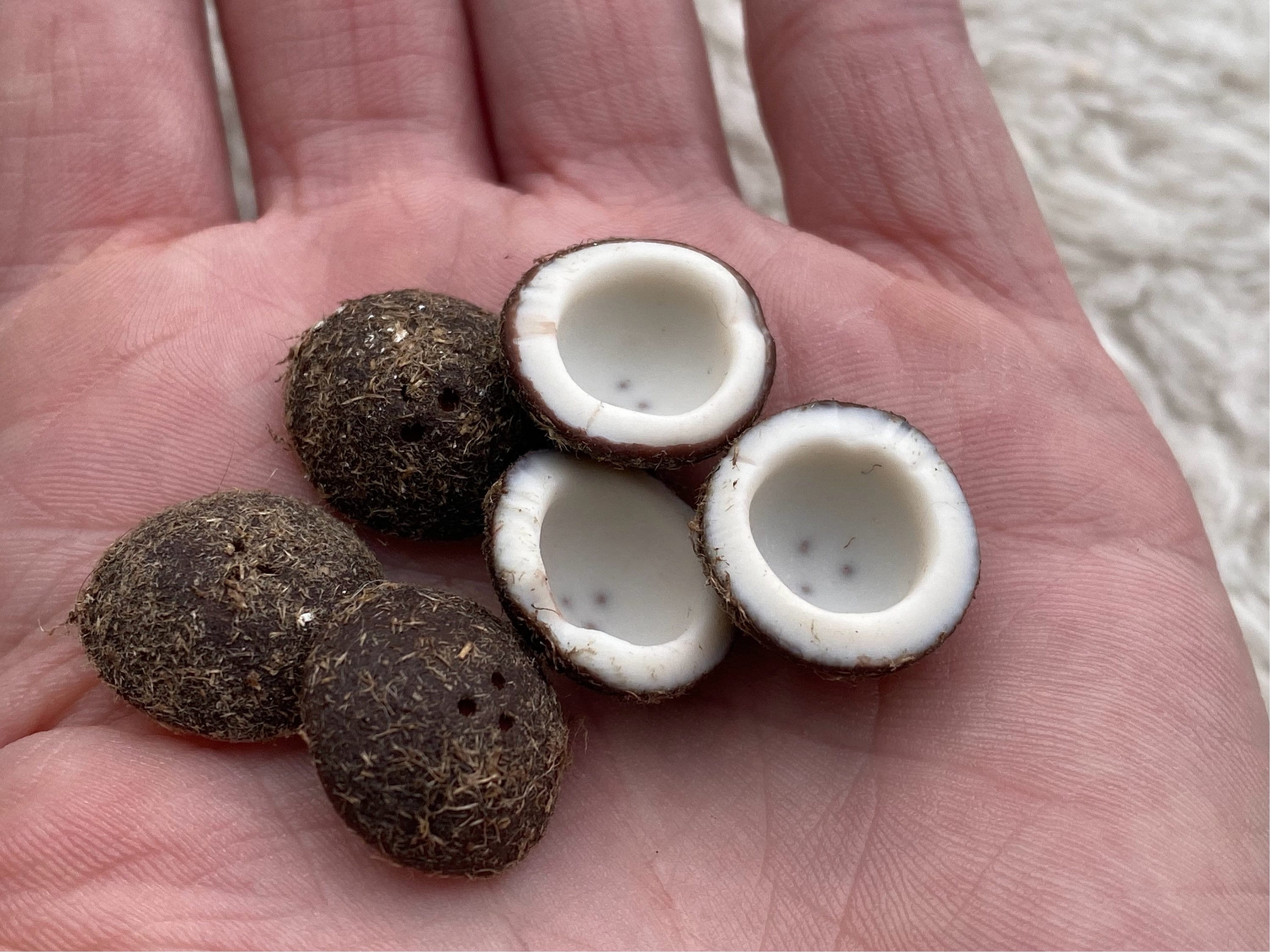 Miniature Polymer Clay Coconuts - Dollhouse Miniature Coconut Halves - Etsy