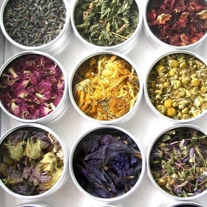 Green Herbal Tea Kit in a Brushed Aluminum Box - Set of 15 - a ...