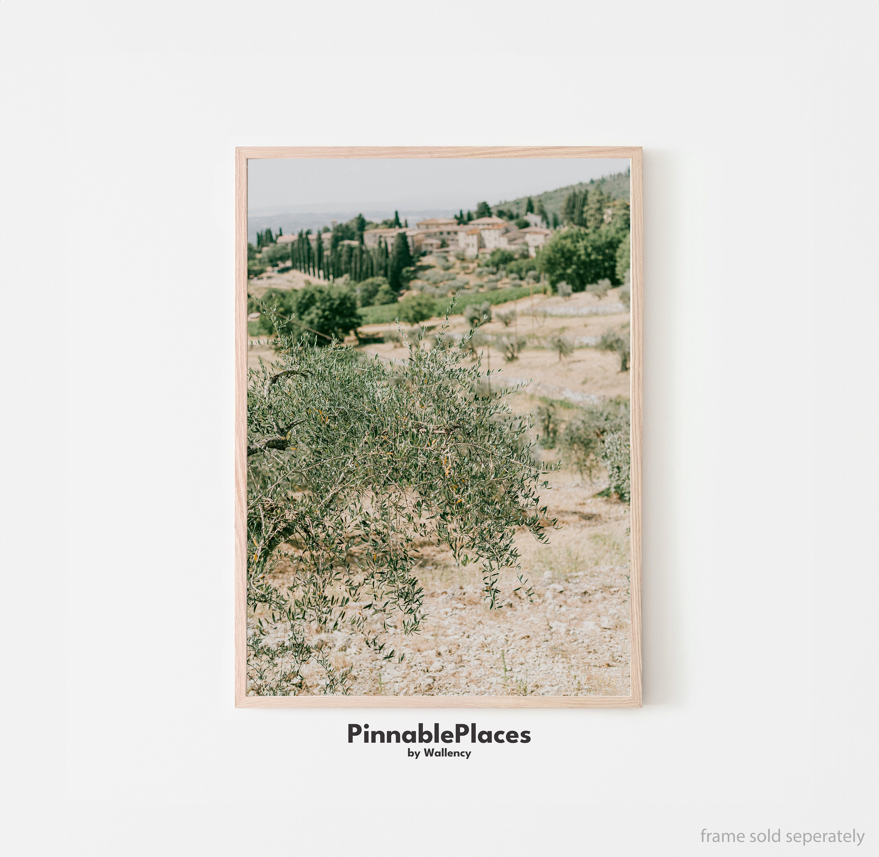 Olive Tree Poster, Olive Tree Print, Olive Tree Photo, Olive Branch ...