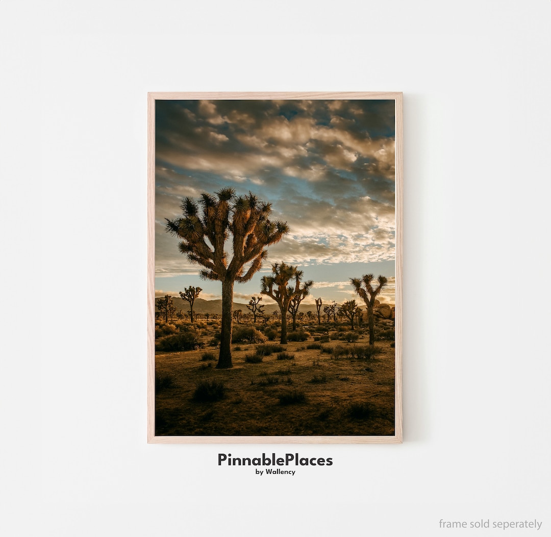 Joshua Tree Sunset Photo: Mojave Desert Print (digital File) - Etsy