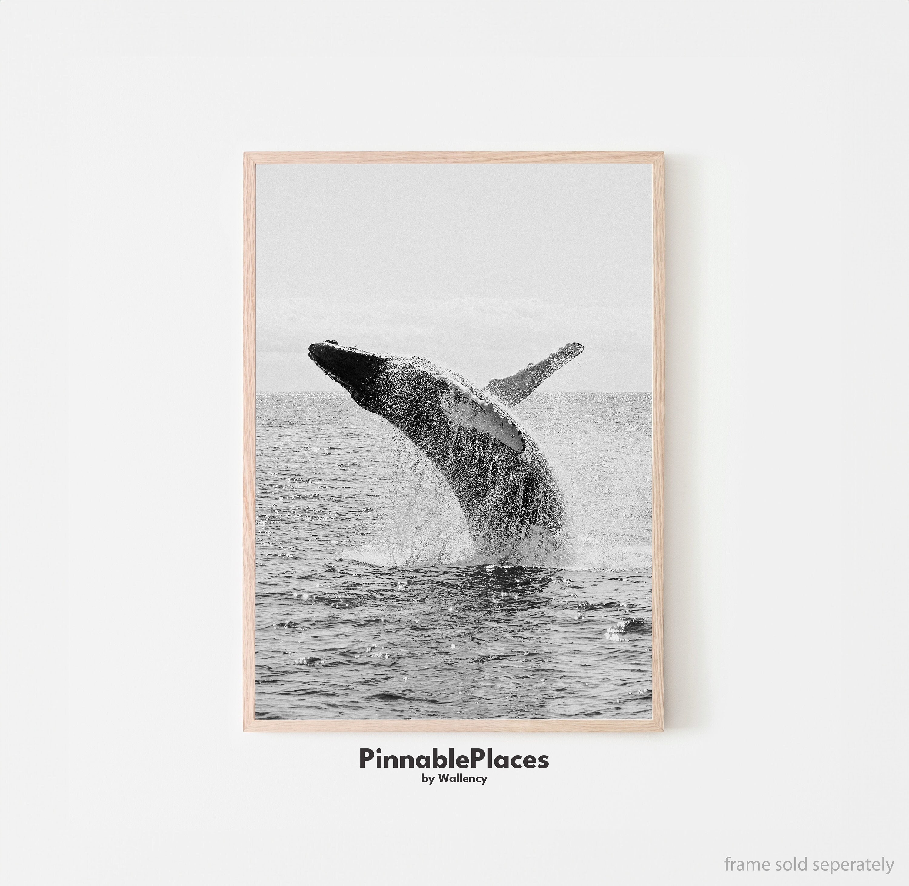 Whale Print, Whale Poster, Whale Photo, Black and White Photo, Ocean ...
