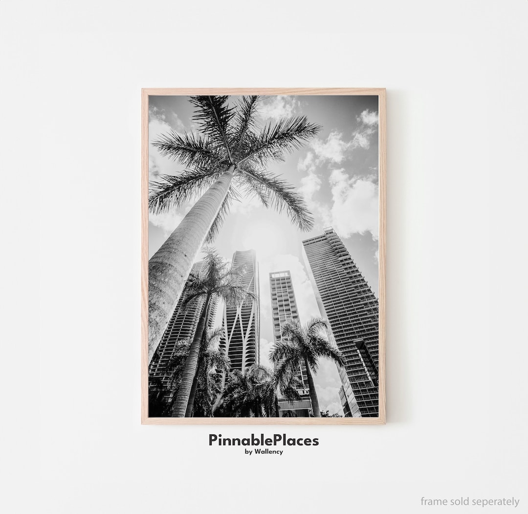 Miami Poster, Miami Photo, Miami Print, Black and White Photo, Miami ...