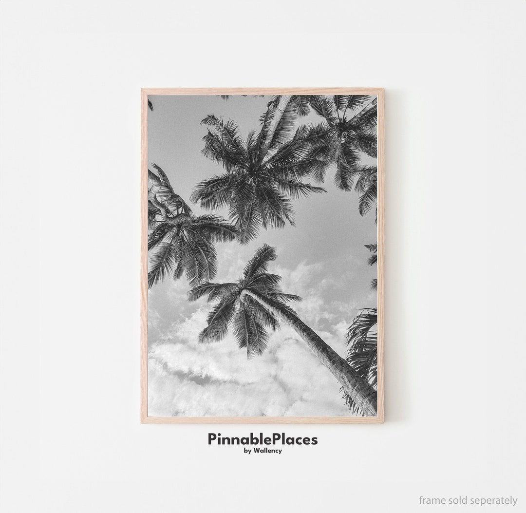 Palm Tree Art Print, Palm Tree Poster, Palm Tree Wall Art, Black and ...