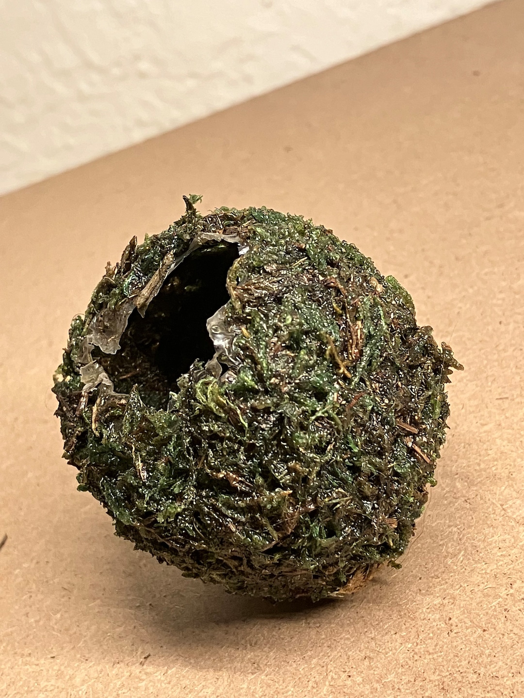 Moss Spider Hide, Magnetic Jumping Spider Hide, Small Magnetic Reptile ...