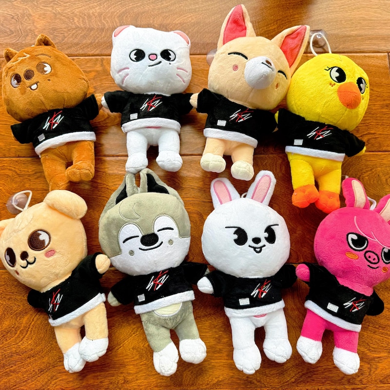 Skzoo Jiniret Plush - Etsy