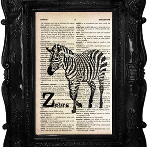 Zebra Animal Print on Vintage Dictionary Page - Etsy