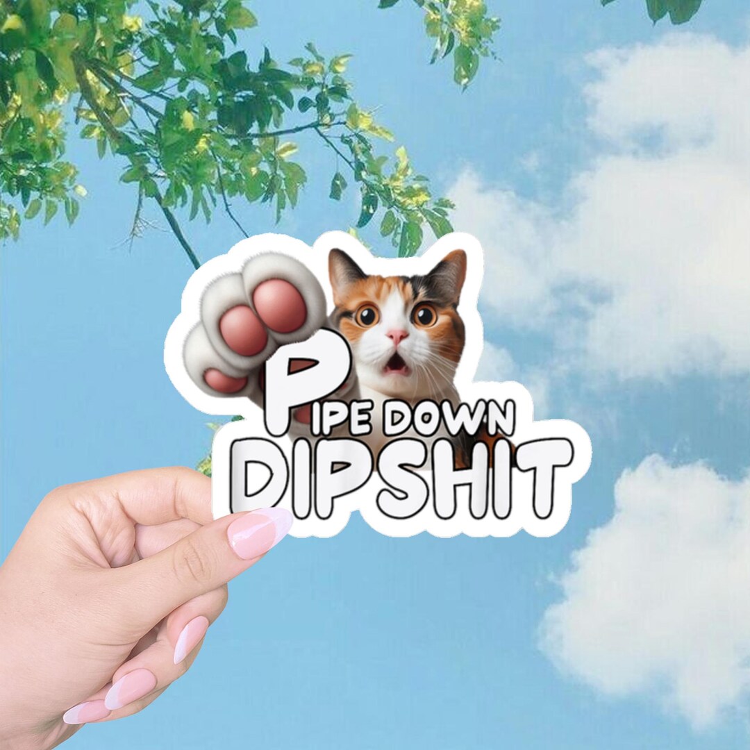 Pipe Down Dipshit Sticker Funny Correction Cat Meme Stickers, Office ...