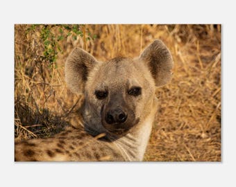 Spotted Hyena Portrait. Original Acrylic Painting on Stretched Canvas ...