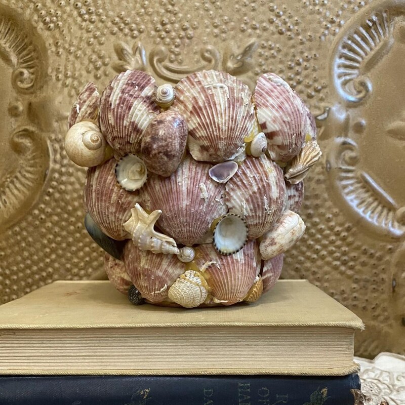 Seashell Vase - Etsy