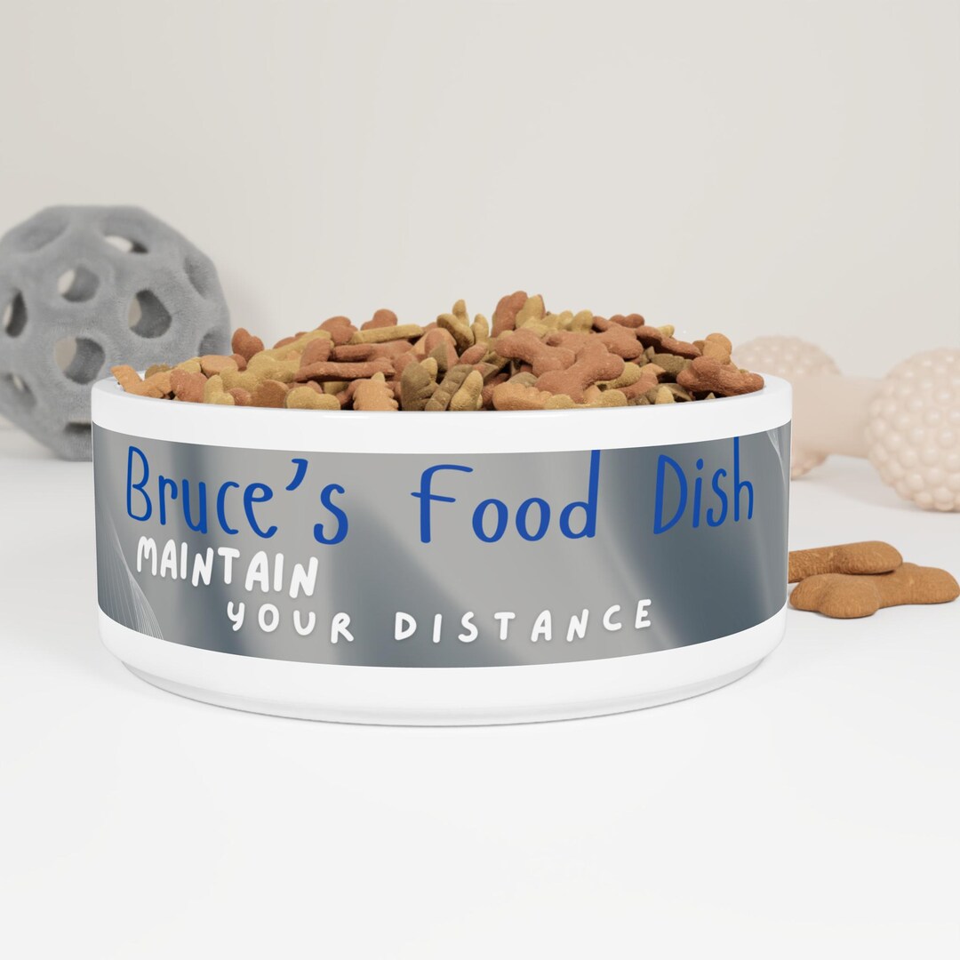 Personalized Dog Bowl Pet Bowl | Custom Ceramic Pet Bowl With Name - Etsy