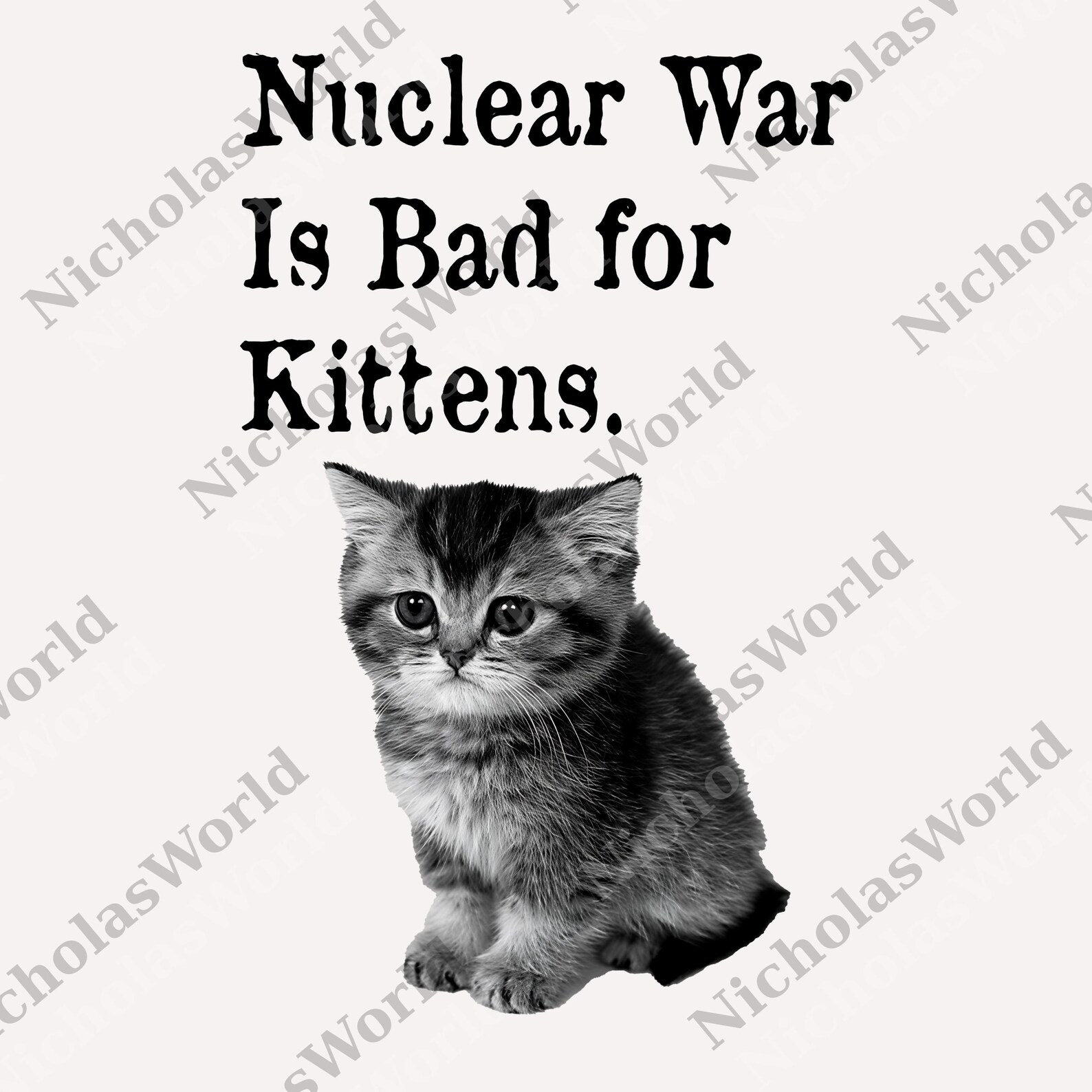 Nuclear War is Bad for Kittens Funny Cat Meme Png, Silly Cats Digital ...