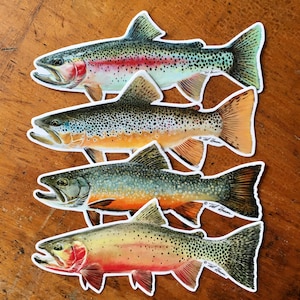 Rainbow Trout Sticker Decal 20% Flows to Western Rivers - Etsy