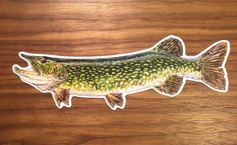 Northern Pike Vinyl Decal 8 | Etsy