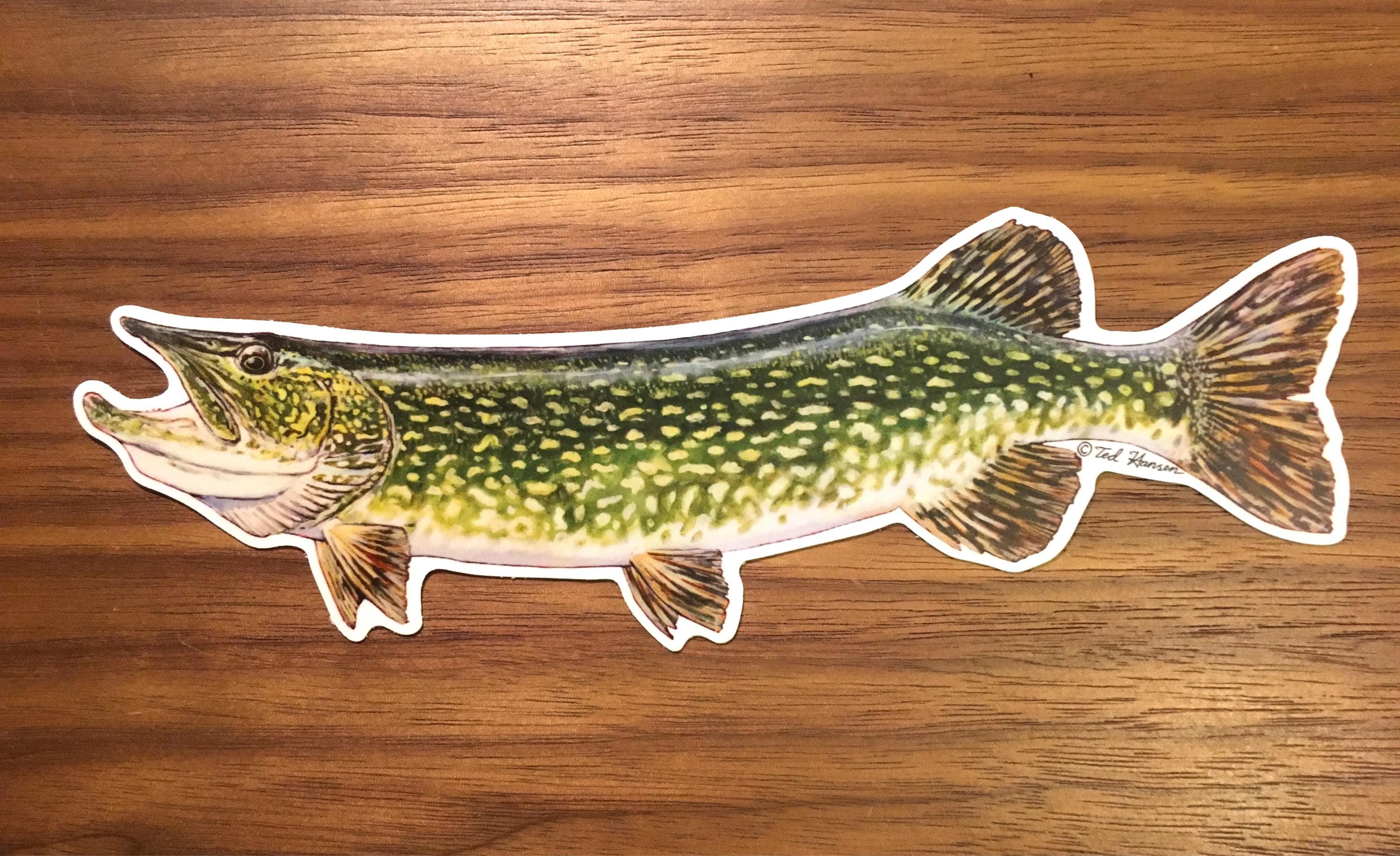 Northern Pike Vinyl Decal 8 - Etsy UK