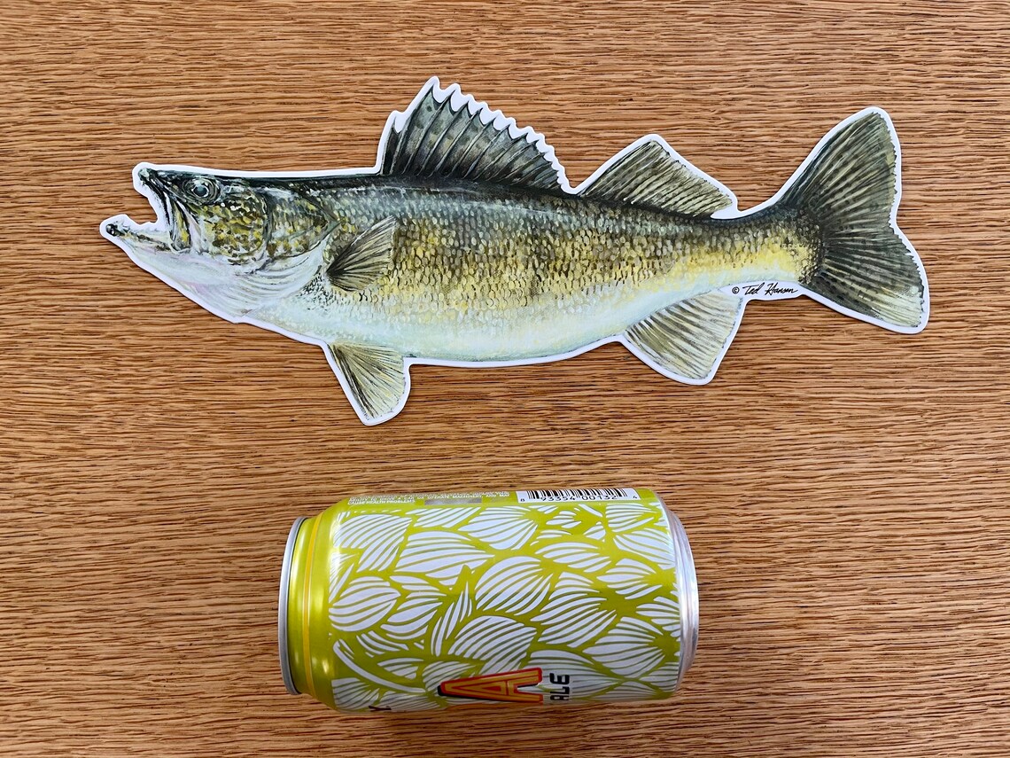 Walleye Decal - Etsy