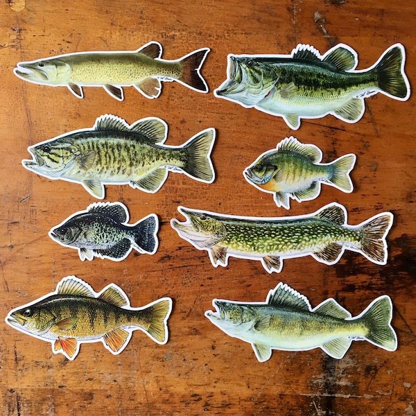 Fish Decal - Etsy