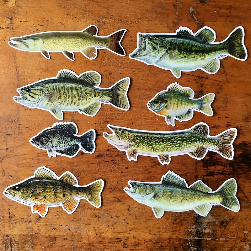 Fish Decal - Etsy