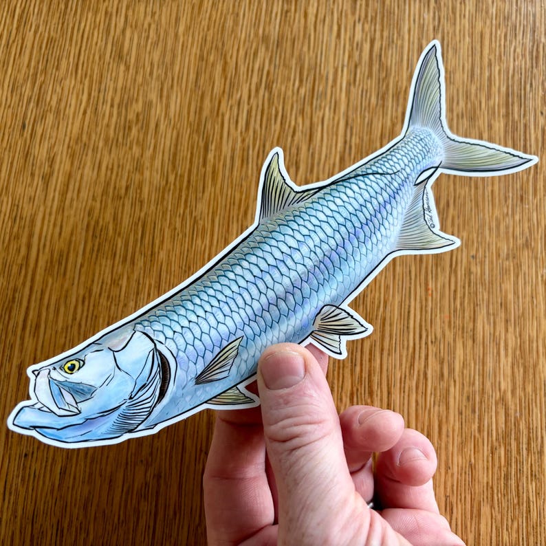 Tarpon Vinyl Decal - Etsy