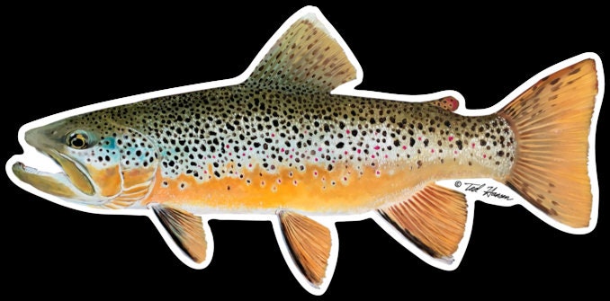 Brown Trout Decal | Etsy