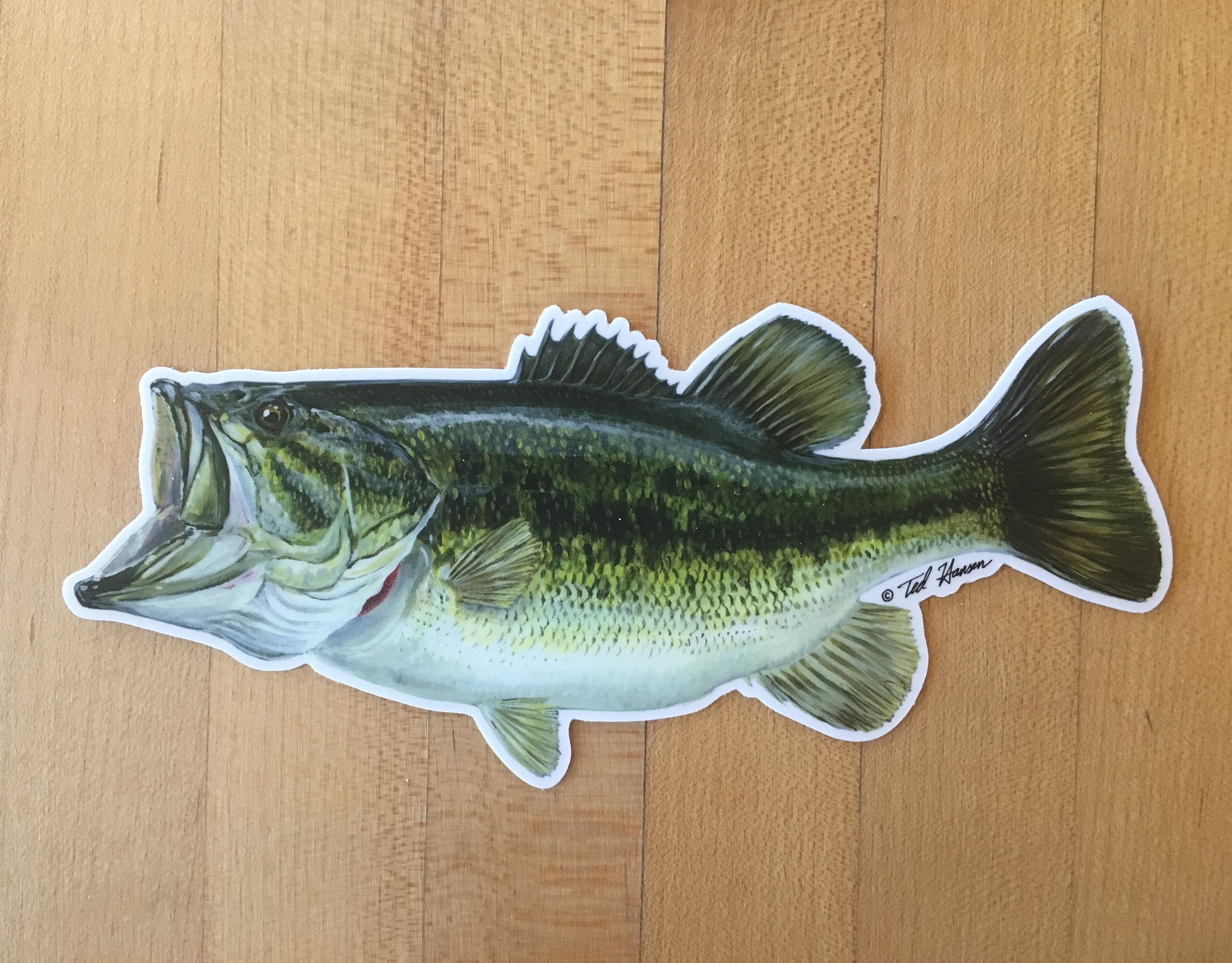 Largemouth Bass Vinyl Decal - Etsy