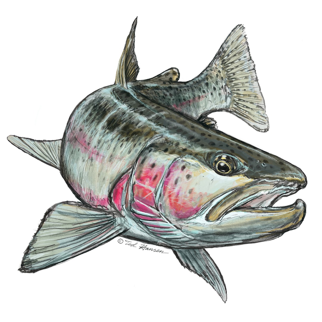 Steelhead Vinyl Decal - Etsy