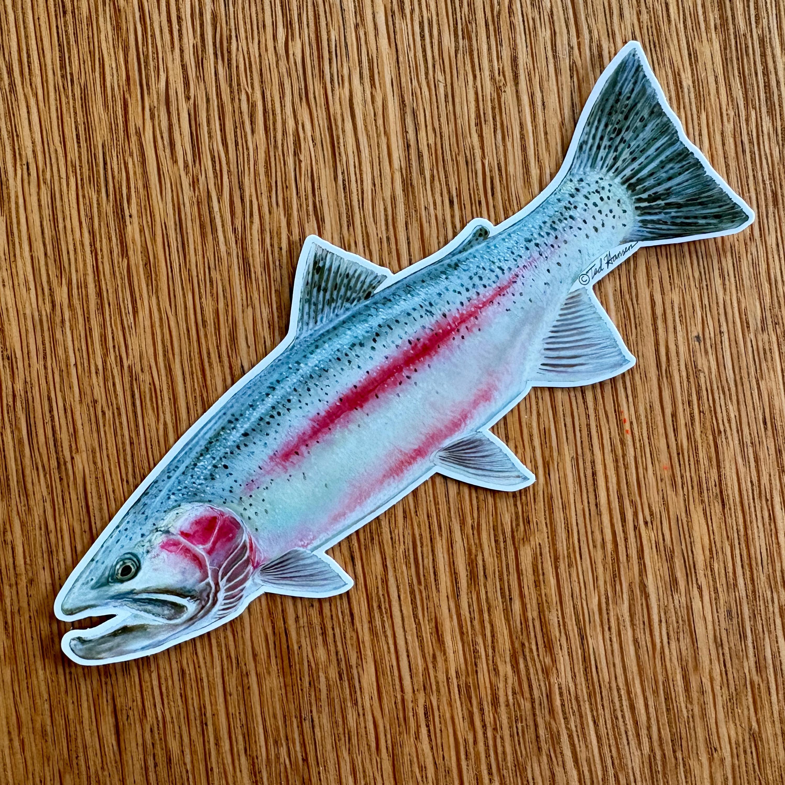 Steelhead Trout Profile Vinyl Decal - Etsy