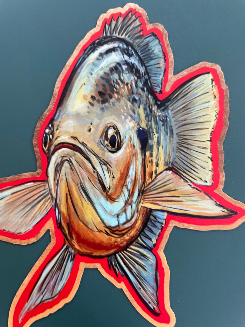 Bluegill Vinyl Decal With Red/gold Border - Etsy
