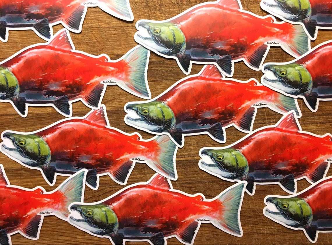 Red Salmon Vinyl Decal, 7" - Etsy