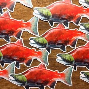 Red Salmon Vinyl Decal, 7" - Etsy