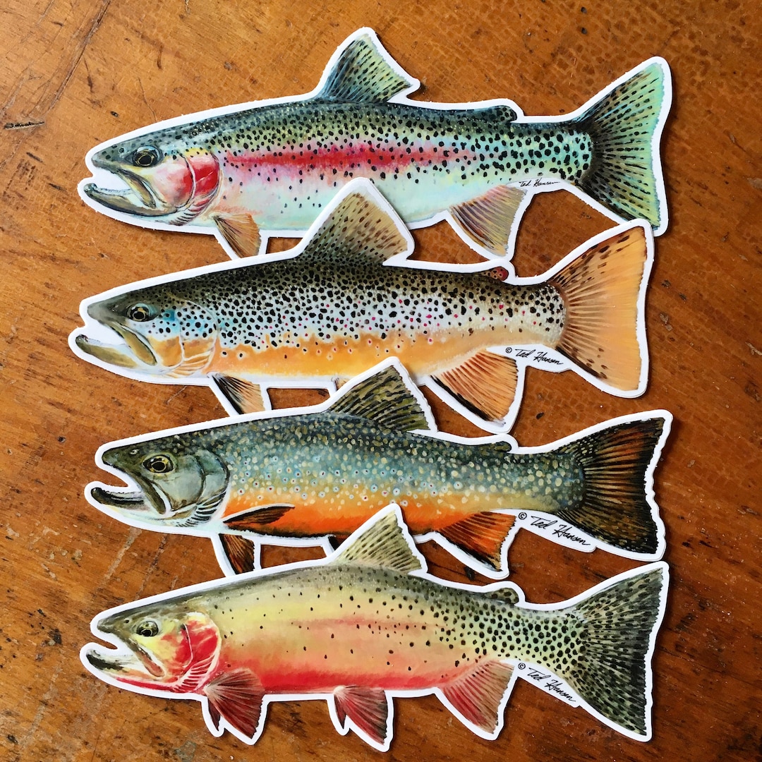 North American Trout - Decal Combo Pack - Etsy