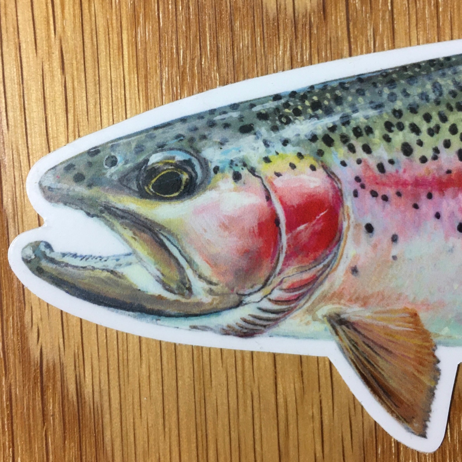 Rainbow Trout Vinyl Decal, Two Options - 3" and 7" - Etsy