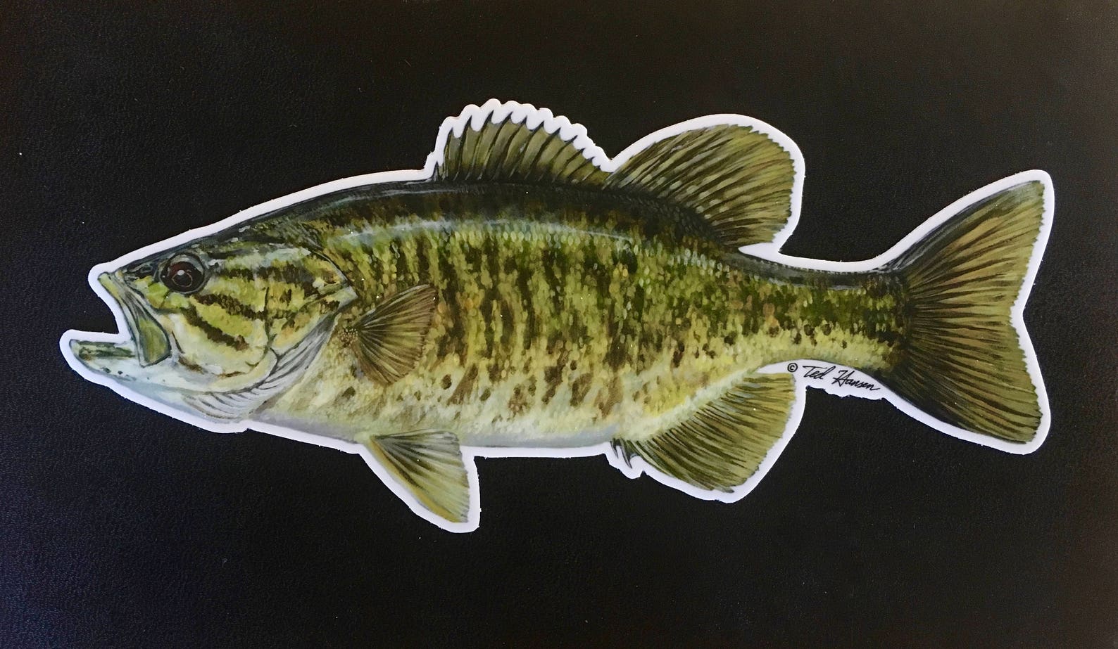 Smallmouth Bass Vinyl Decal 7 - Etsy