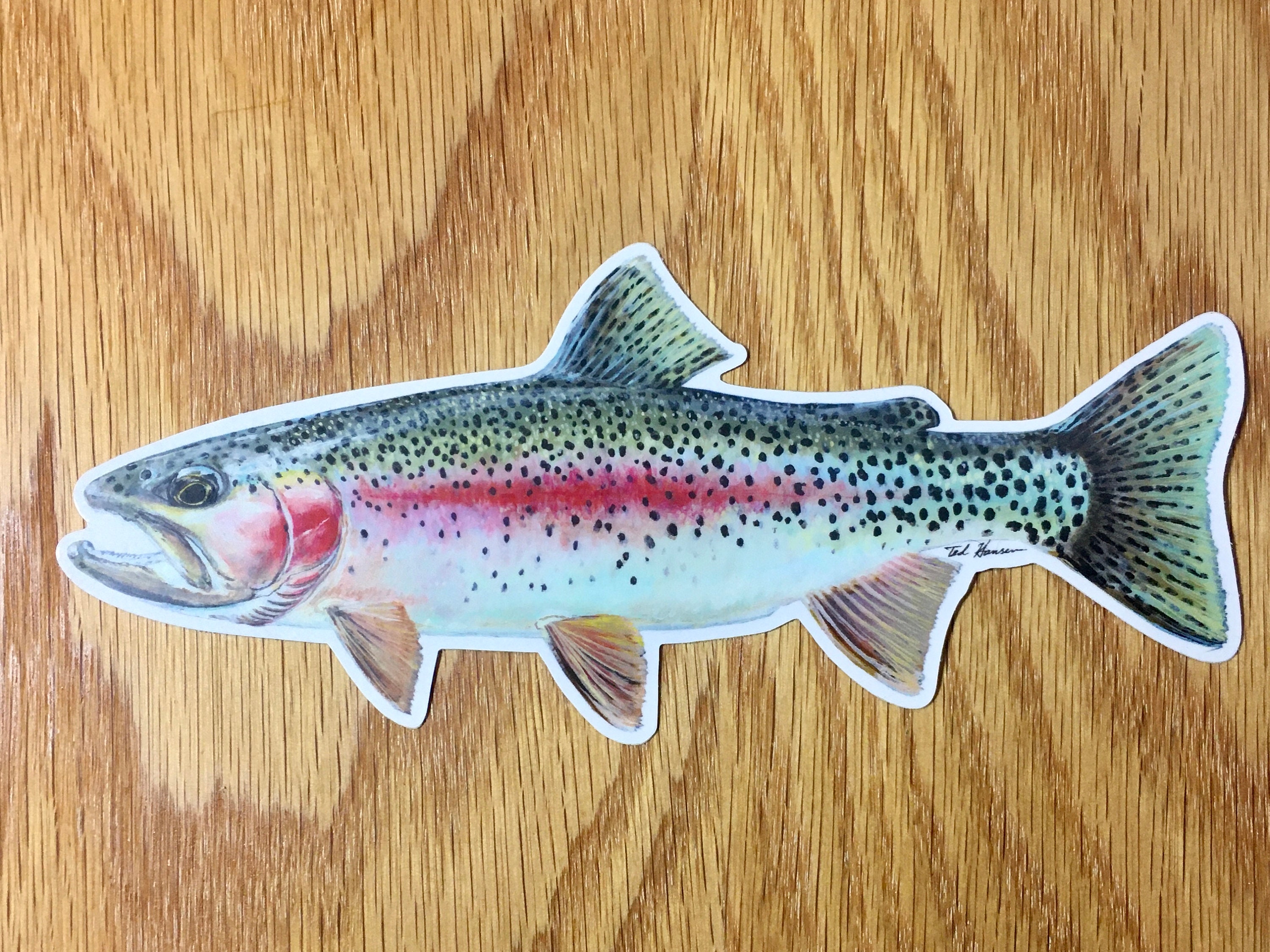 Rainbow Trout Vinyl Decal, Two Options - 3" and 7" - Etsy