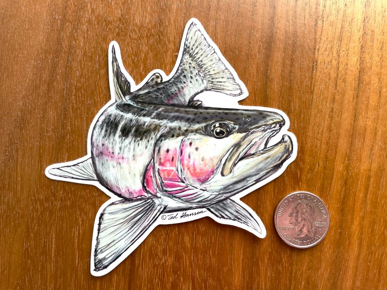 Steelhead Vinyl Decal | Etsy