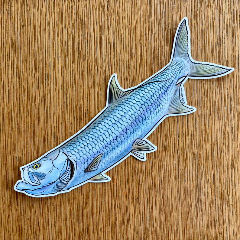 Tarpon Vinyl Decal - Etsy