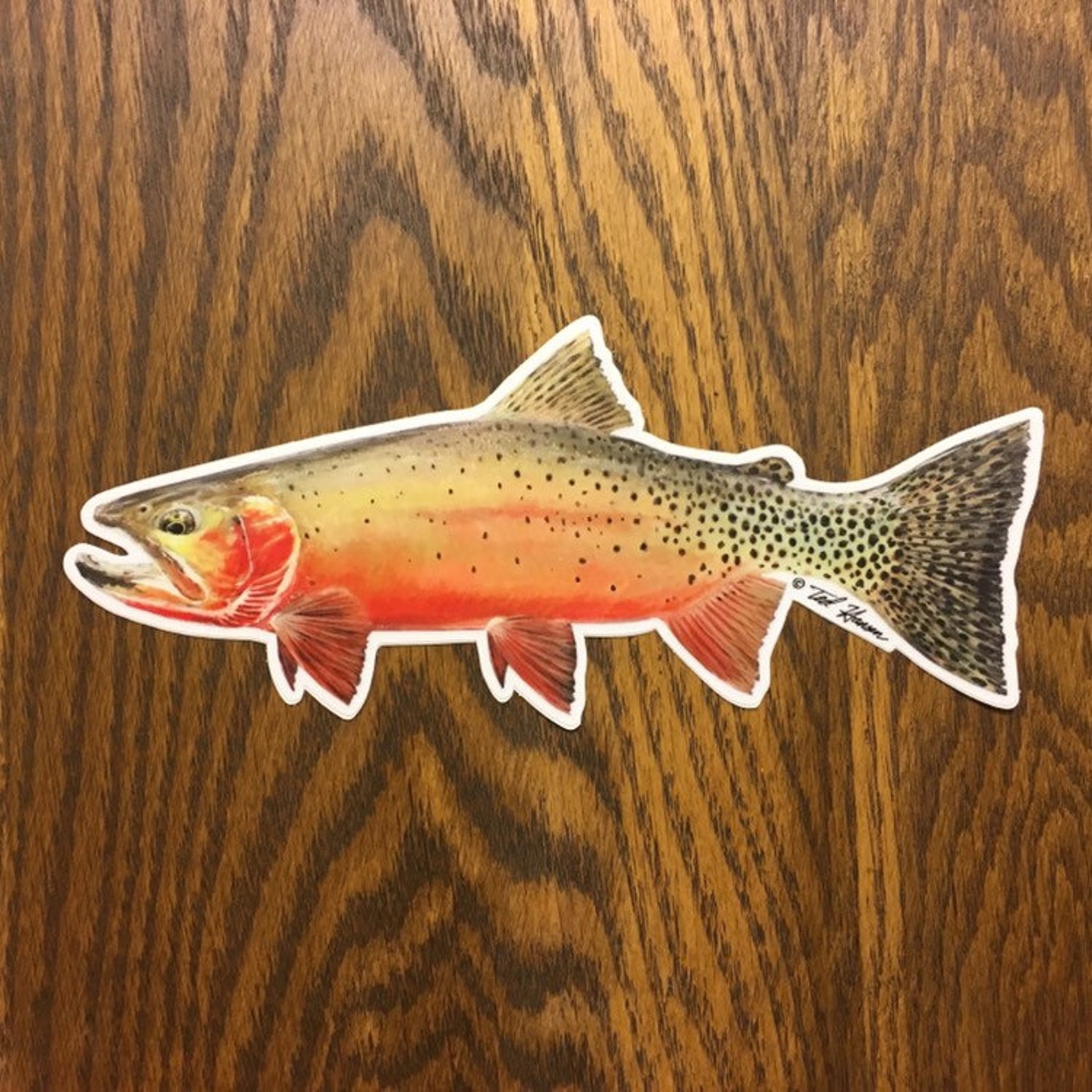 Cutthroat Trout Decal | Etsy